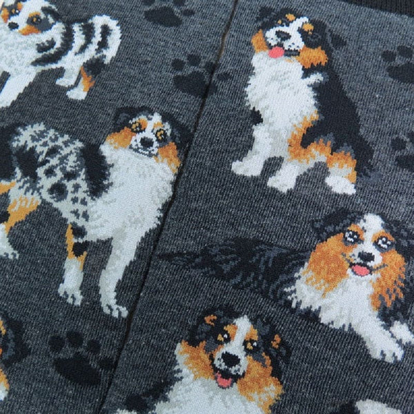 Australian Shepherd Socks for Him